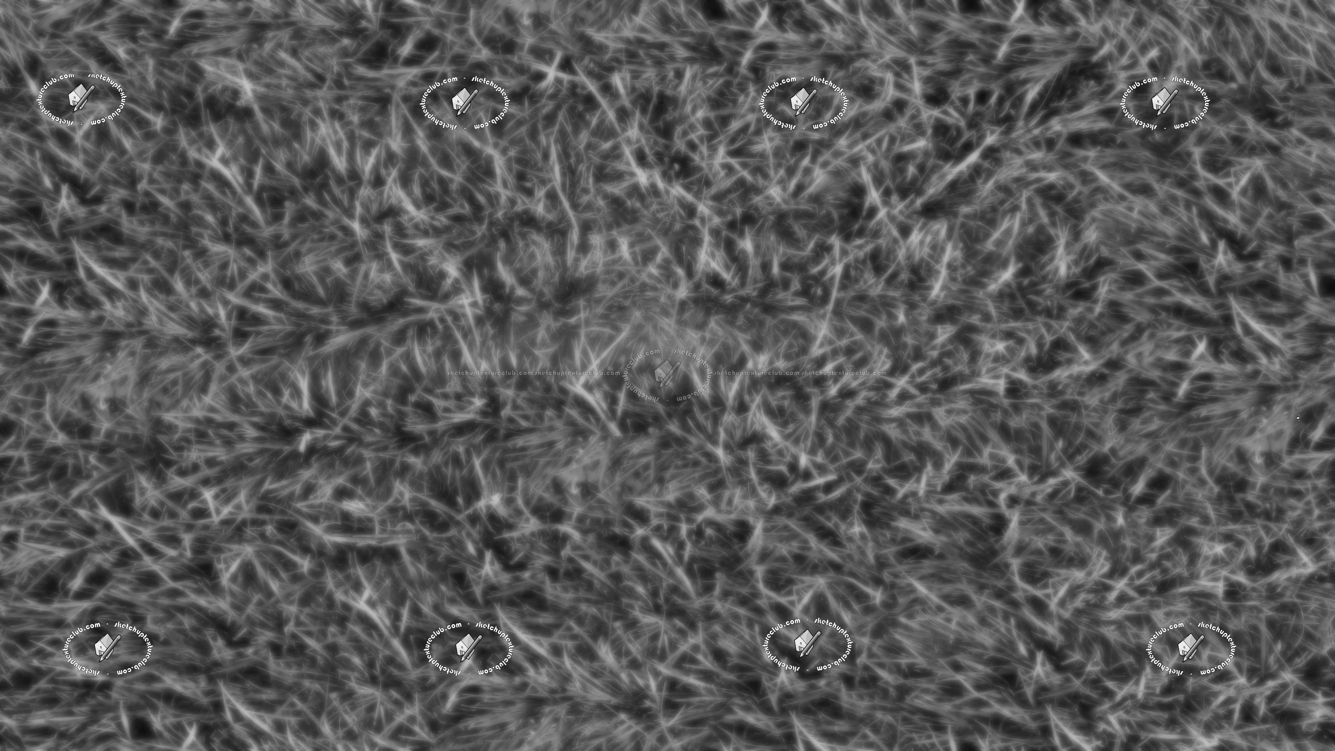 Green grass texture seamless 20771