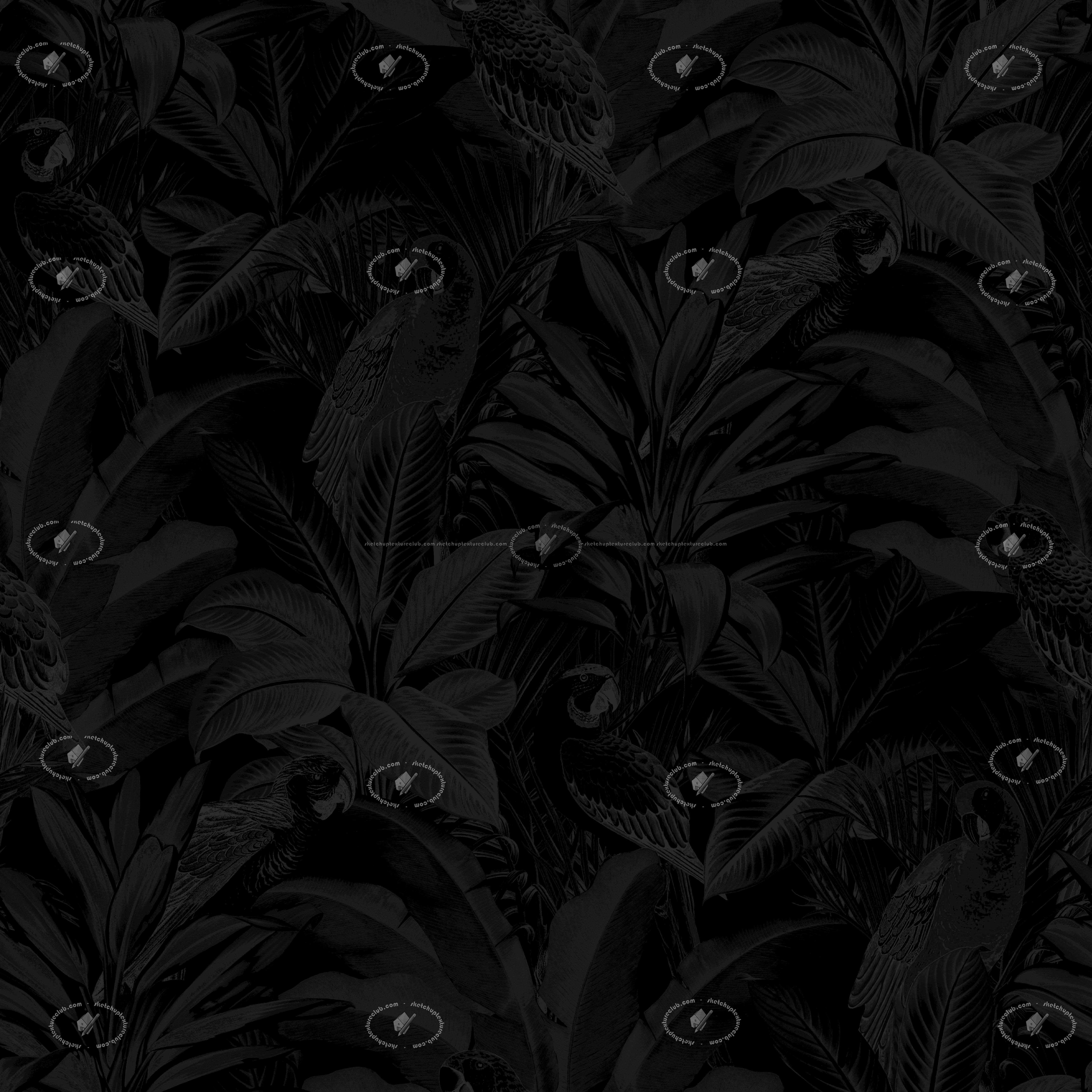 Exotic parrots wallpaper texture seamless 20929