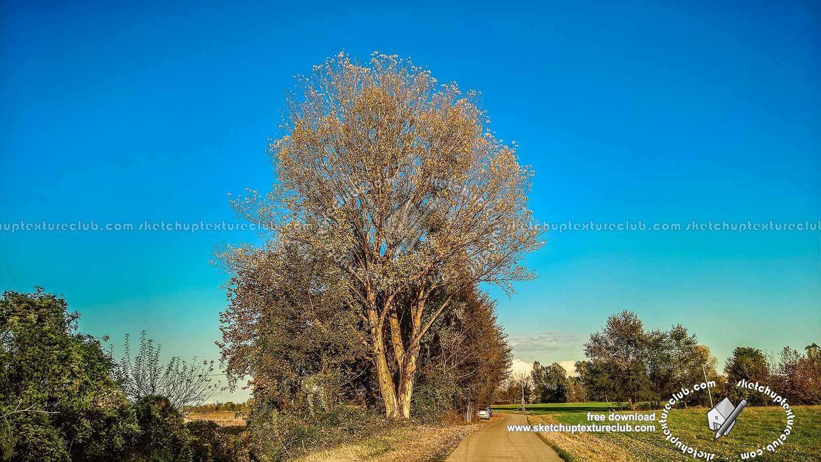 Country landscape with trees background hdr 21003