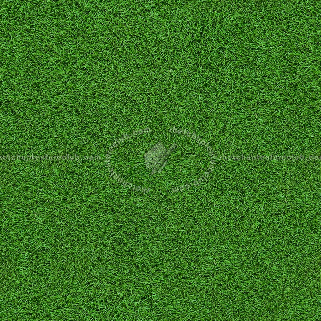 Artificial Green Grass Texture Seamless 13066 