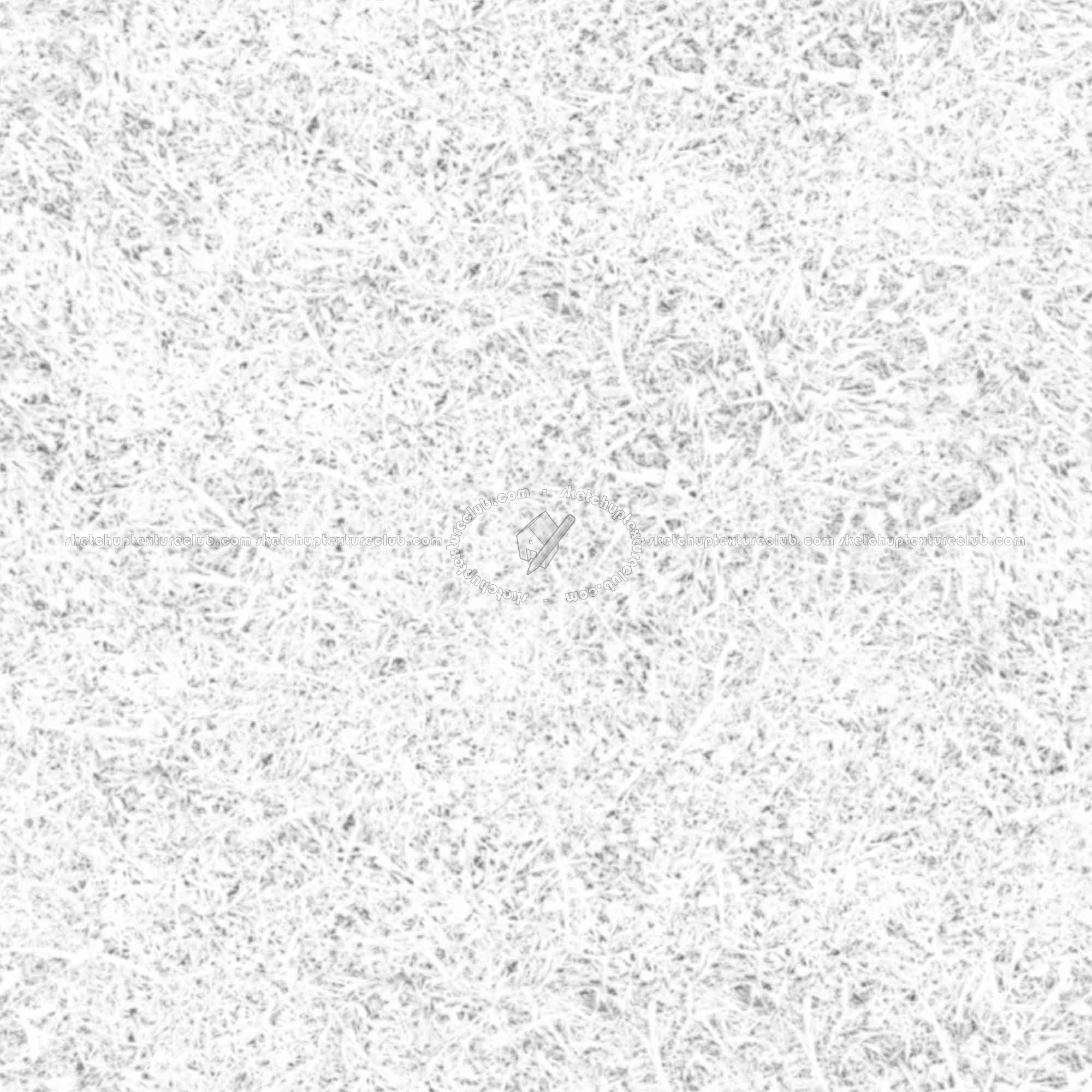Green Grass Texture Seamless 19524 