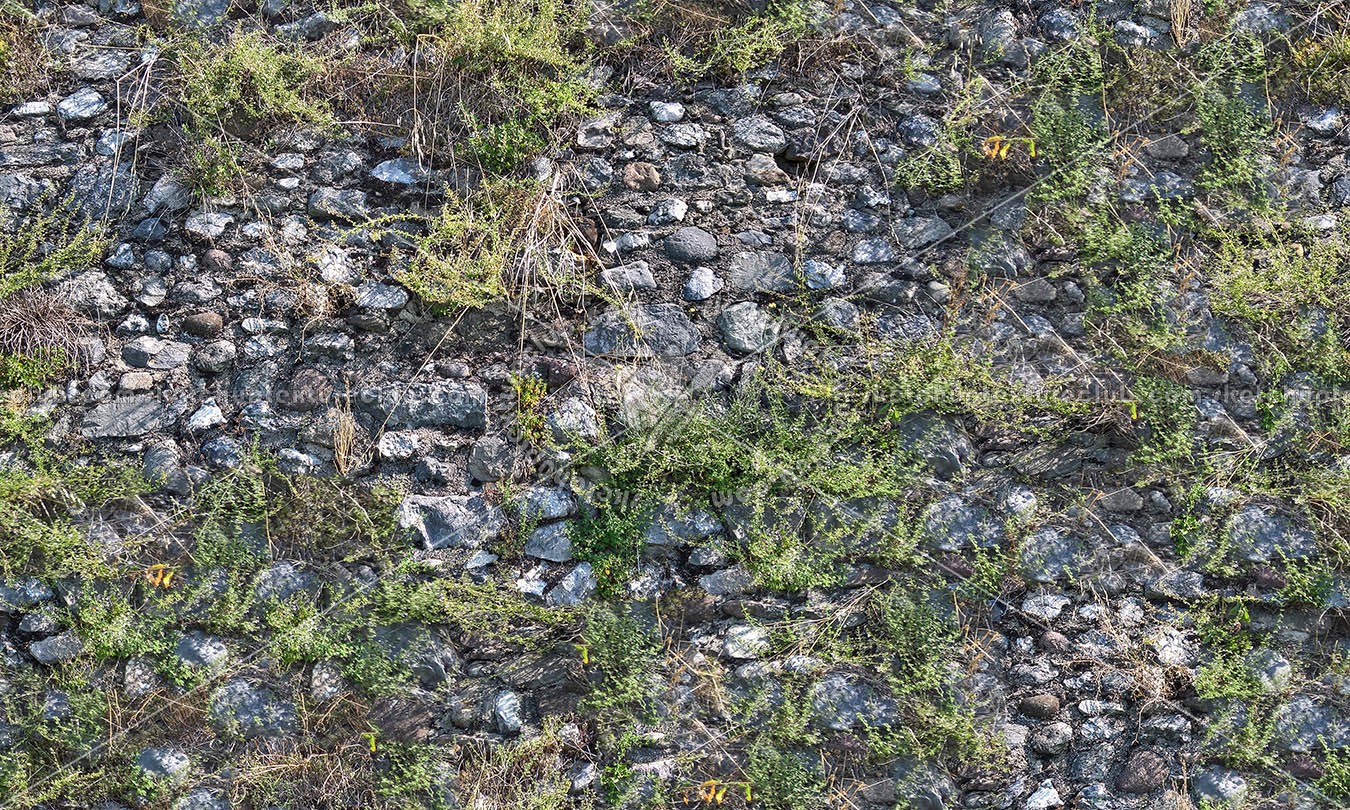 Italy Old Wall Stone With Grass Texture Seamless 19797