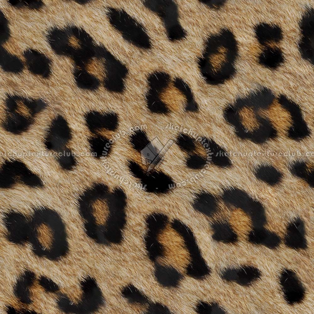 fur animal textures seamless