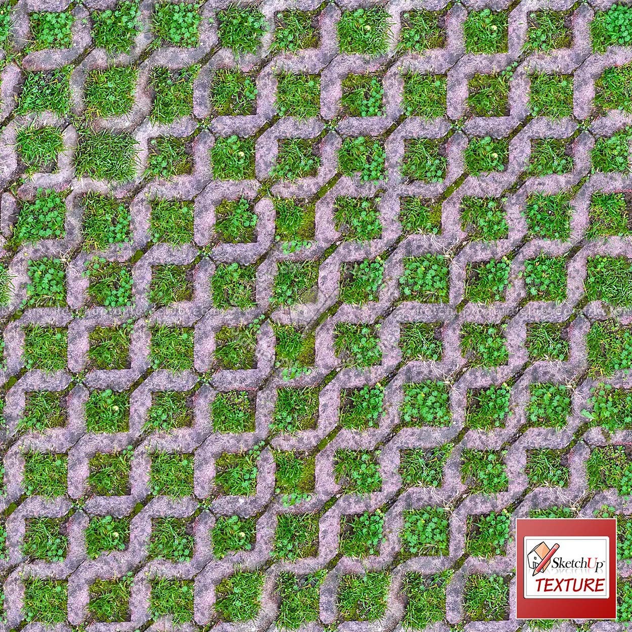 Concrete park paving texture seamless 19522