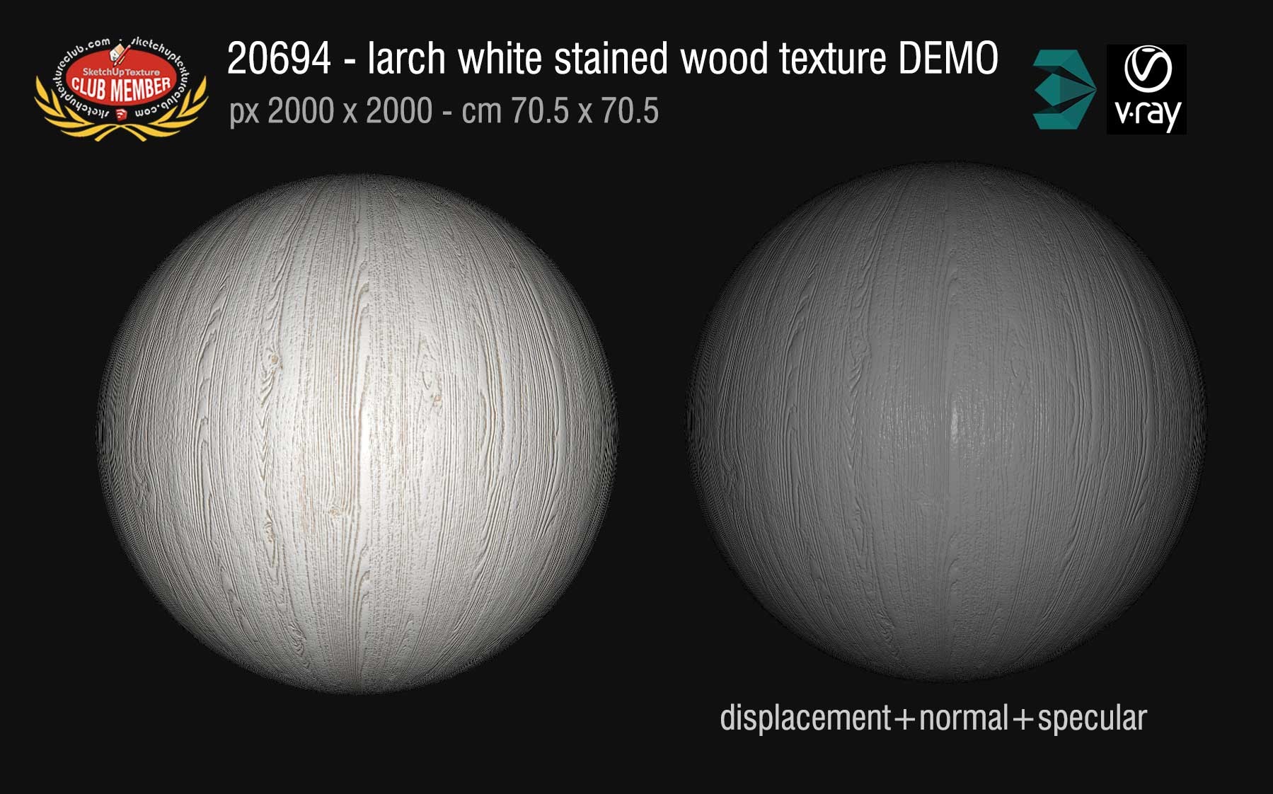 Larch white stained wood texture seamless 20694