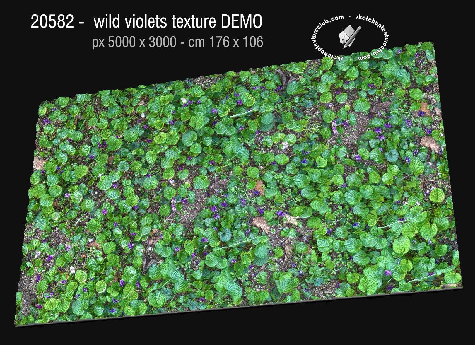 Wild violets texture seamless 20582