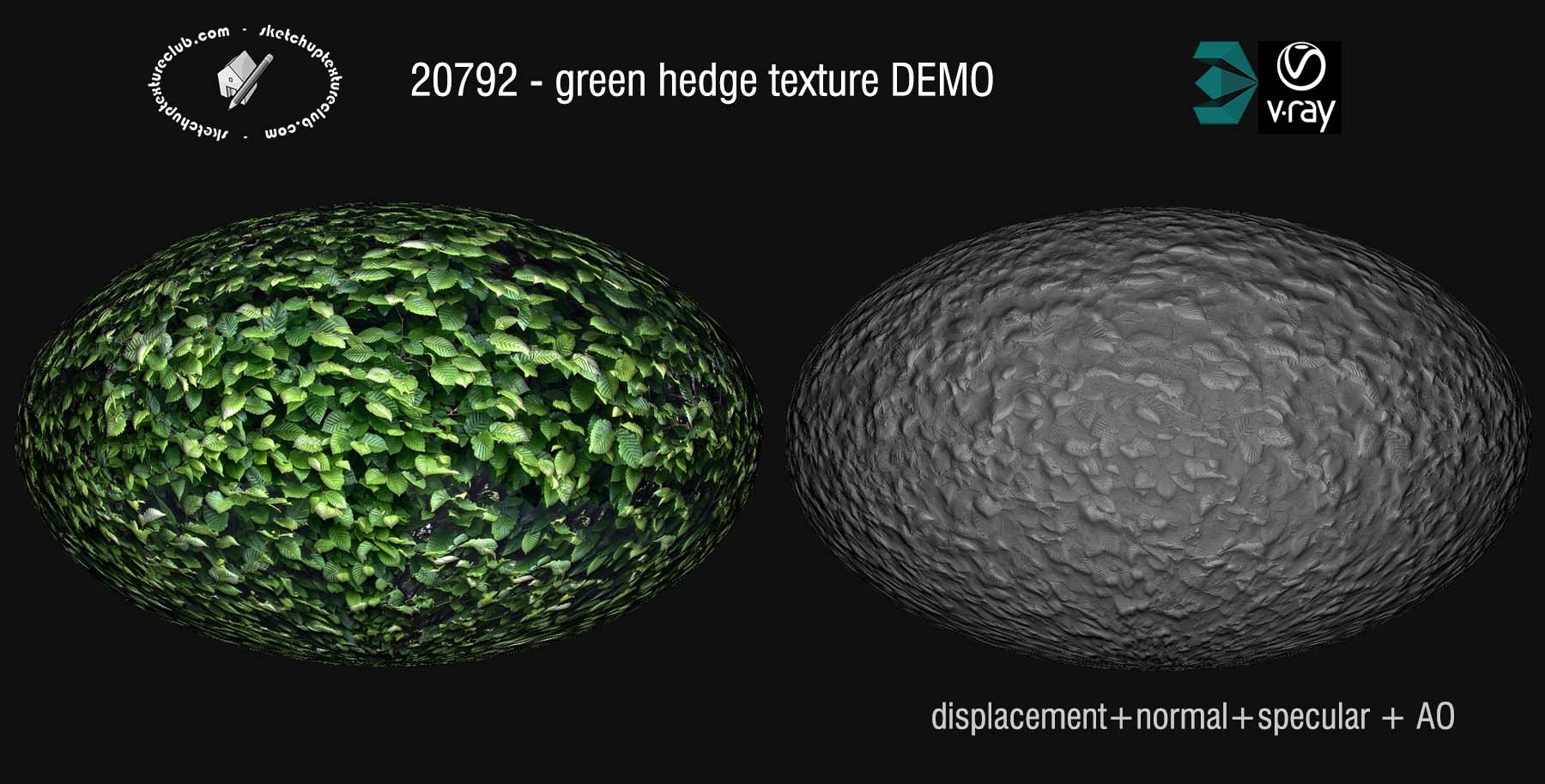 Green hedge texture seamless 20732