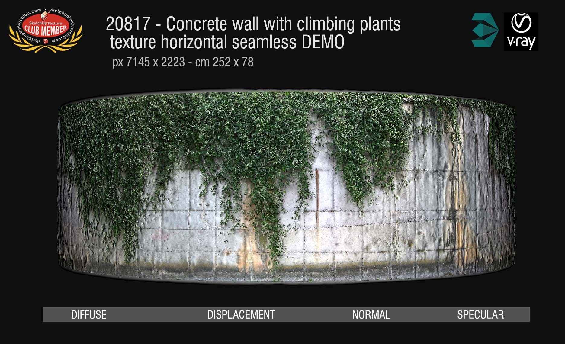 Concrete wall with climbing plants texture horizontal seamless 20817
