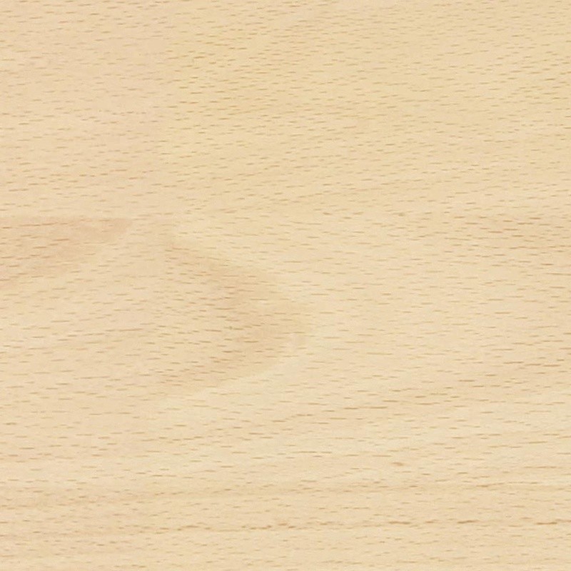 Beech wood light wood fine texture seamless 04300