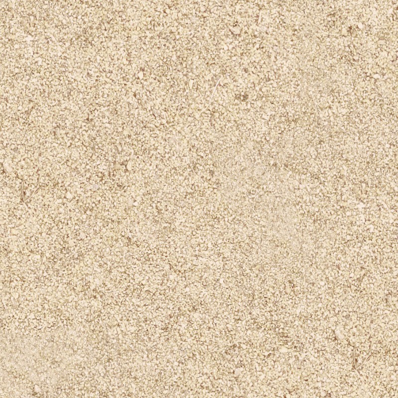 Beach Sand Texture Seamless Beach Sand Texture Seamless