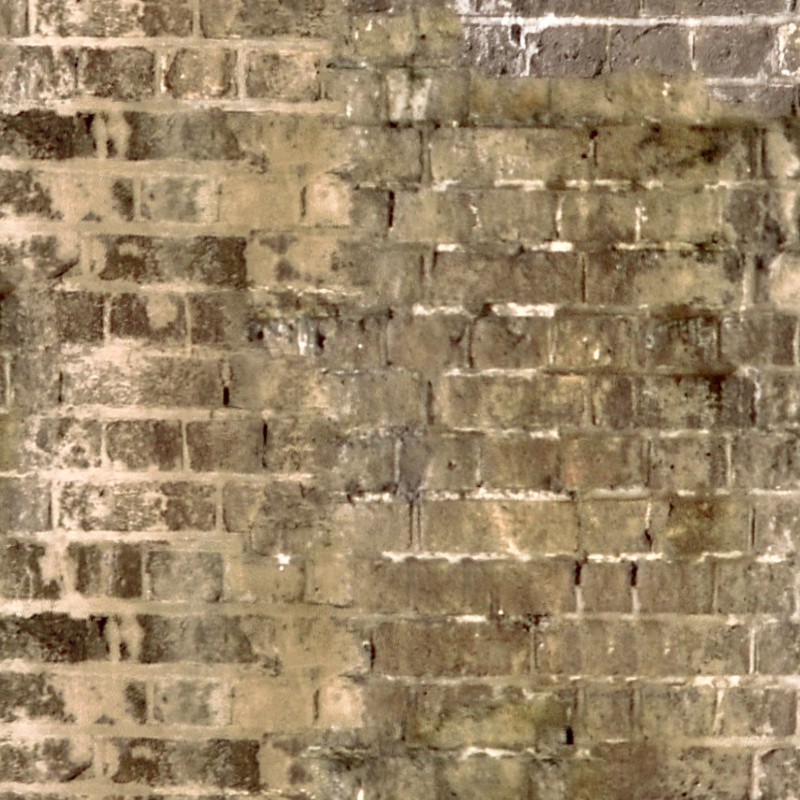 Damaged bricks texture seamless 00129