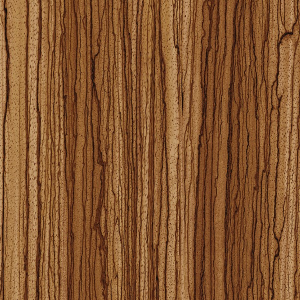 Olive wood fine medium color texture seamless 04429