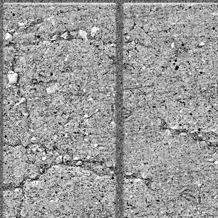 Concrete paving outdoor damaged texture seamless 05515