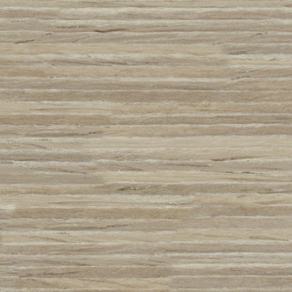 Lati light gray wood fine texture seamless 04329