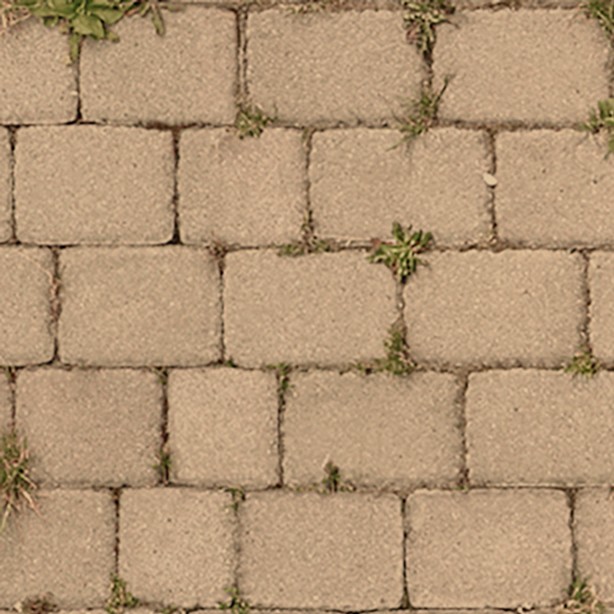 Paving outdoor concrete regular block texture seamless 05666