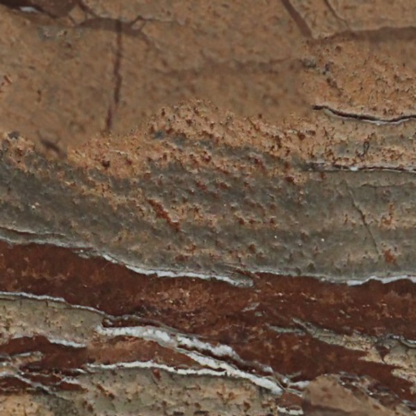 Slab marble forest brown texture seamless 02008