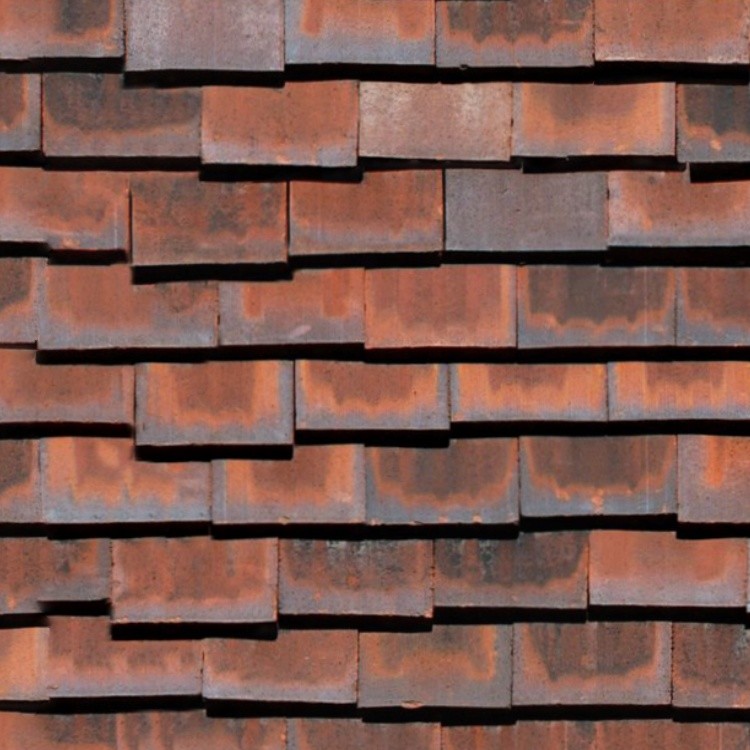 Dirty slate roofing texture seamless 03951