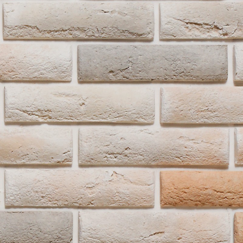 Rustic bricks texture seamless 00232