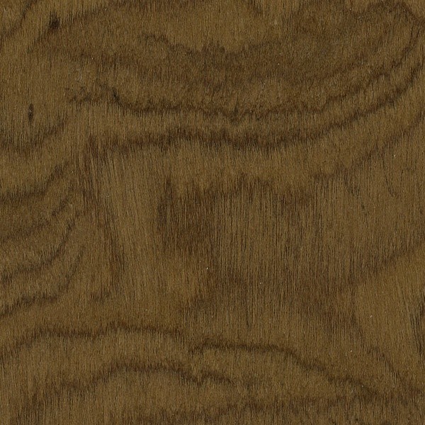 Burl canaletto walnut dark wood texture seamless 04263