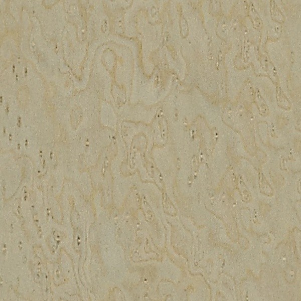 Burl poplar light wood fine texture seamless 04368