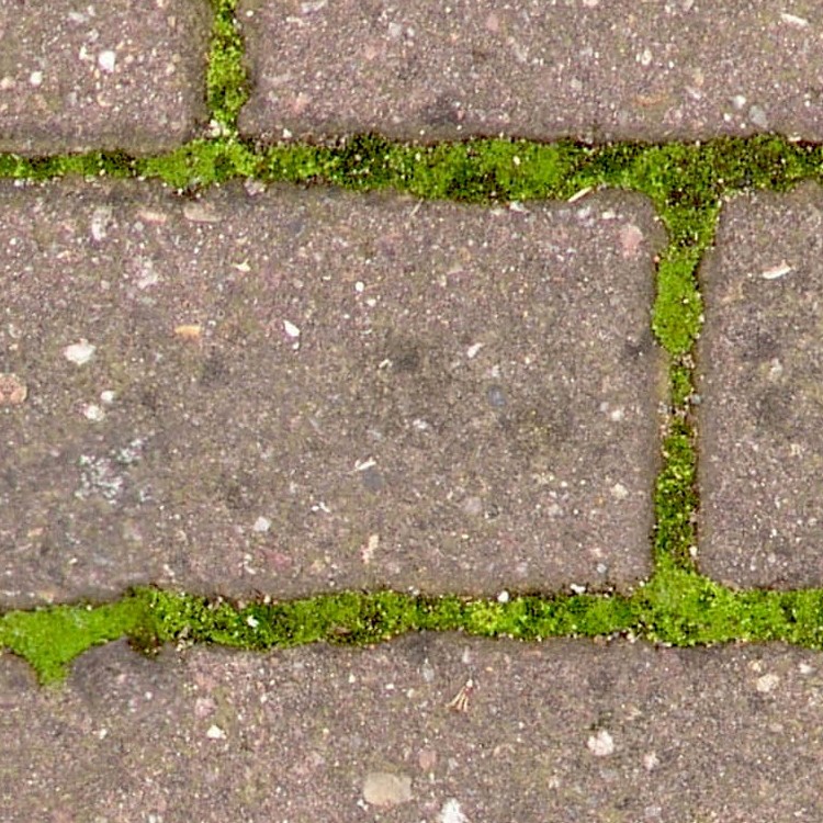 Concrete block park paving texture seamless 18835