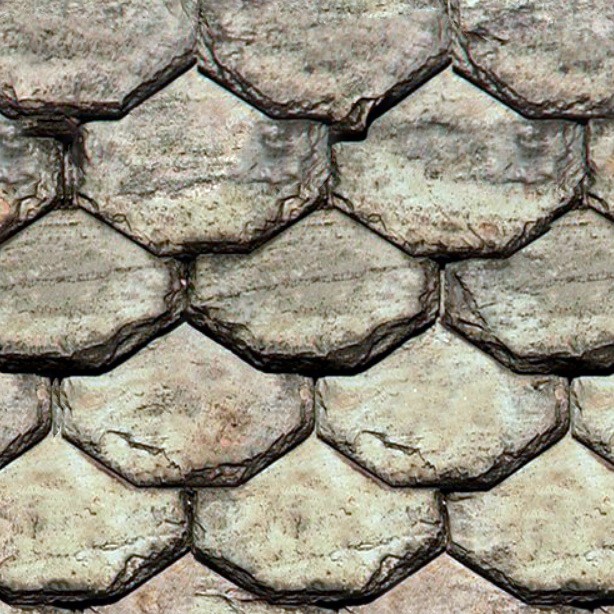 Slate roofing texture seamless 03988