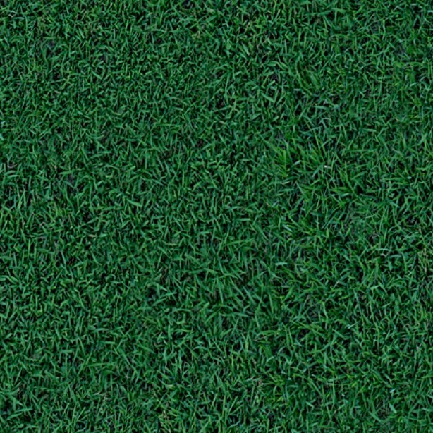 Artificial Green Grass Texture Seamless 13060