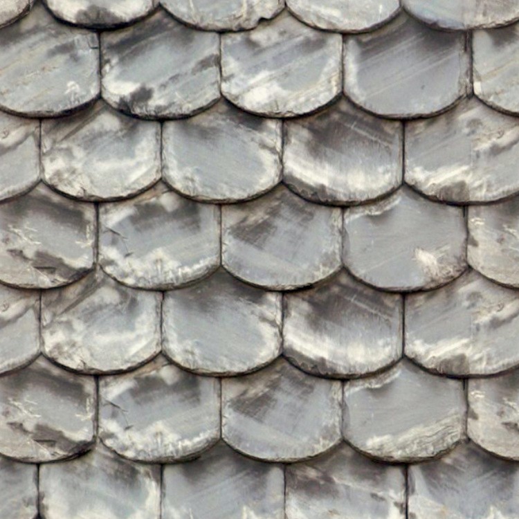 Slate roofing texture seamless 03992