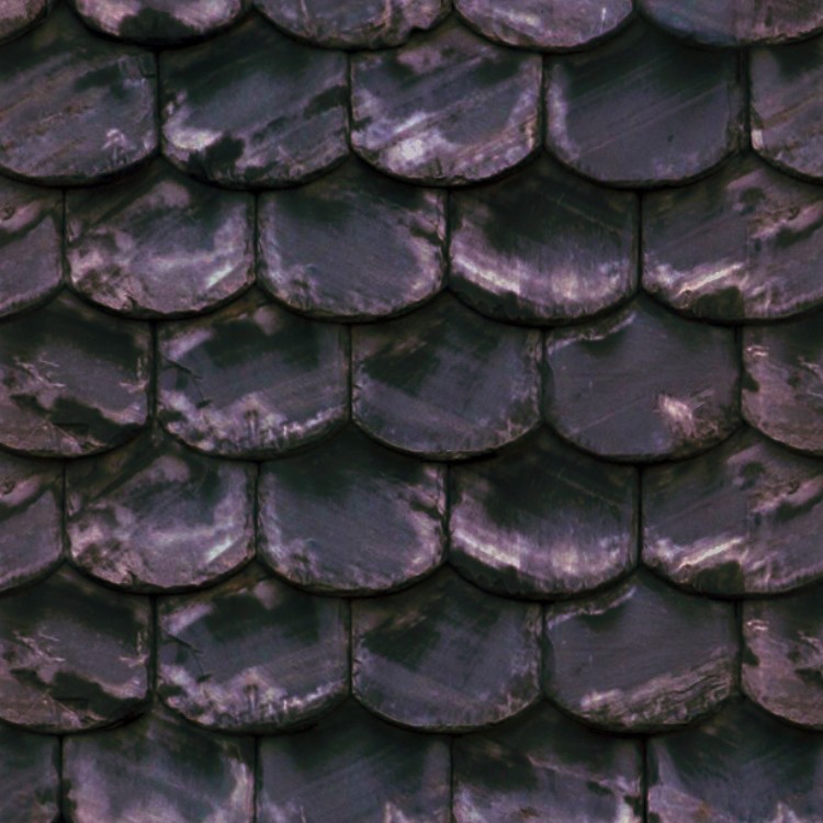 Slate roofing texture seamless 03994