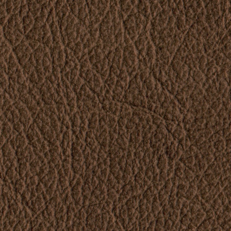 Leather texture seamless 09699