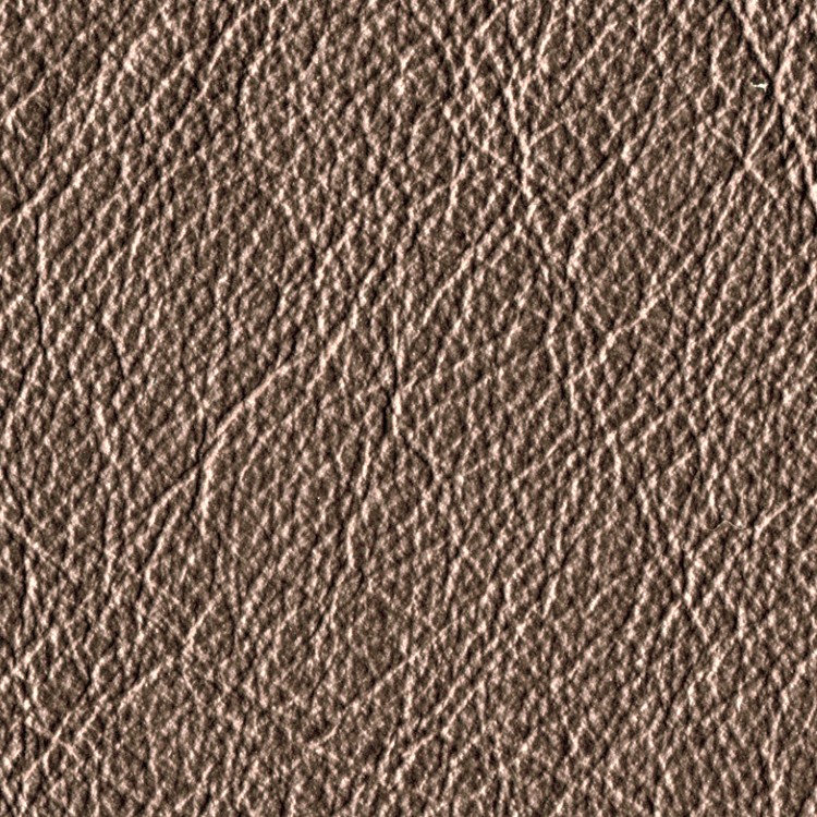 Leather texture seamless 09700