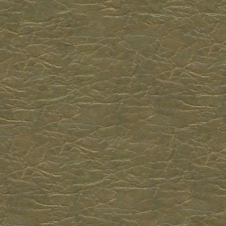 Leather texture seamless 09702