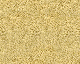 Leather texture seamless 09685